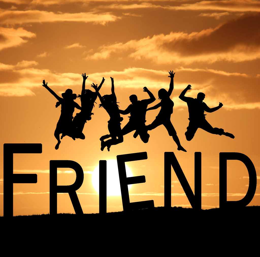 Why friendship is important.